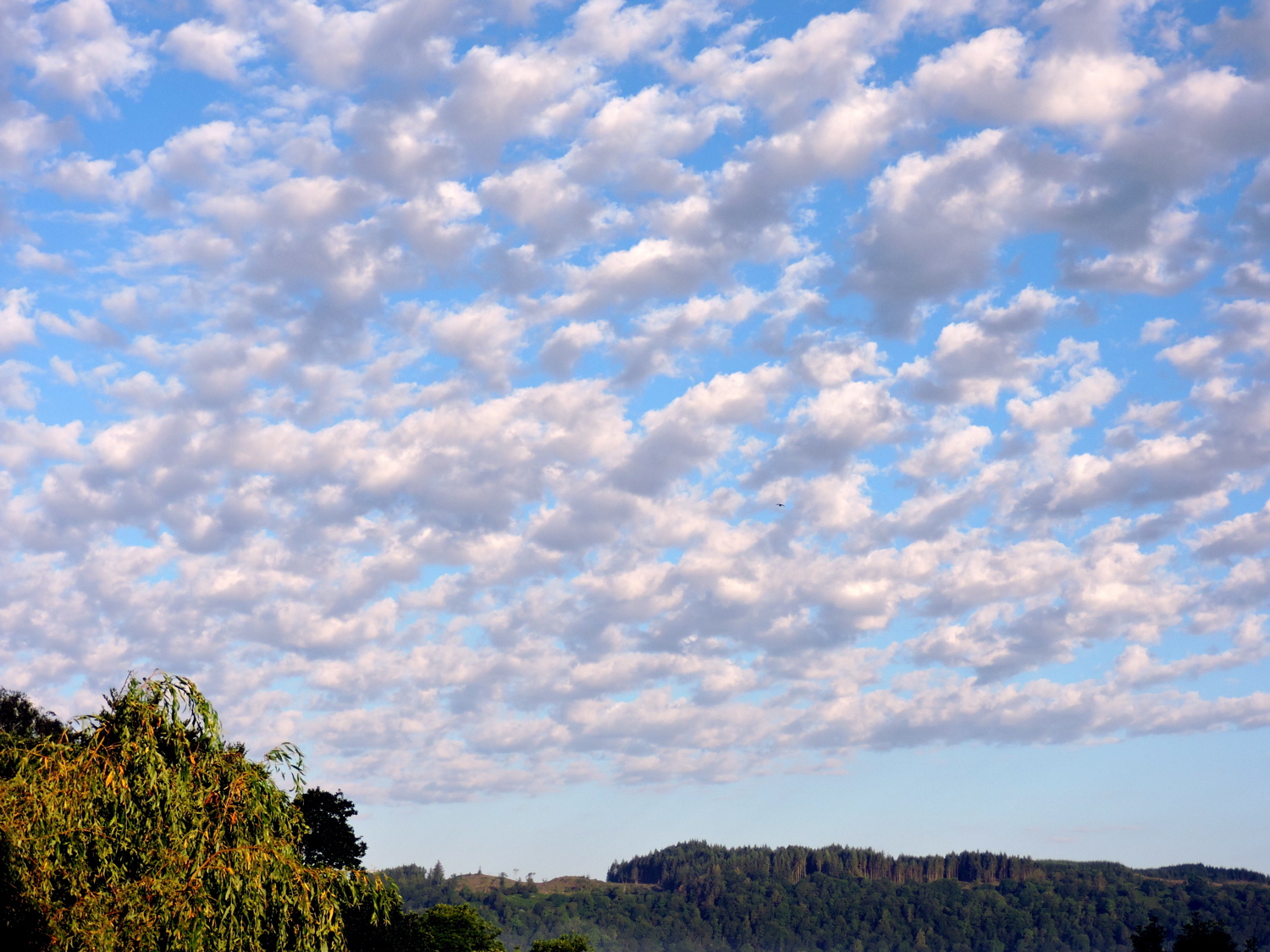 weird morning clouds | Paul Fishman